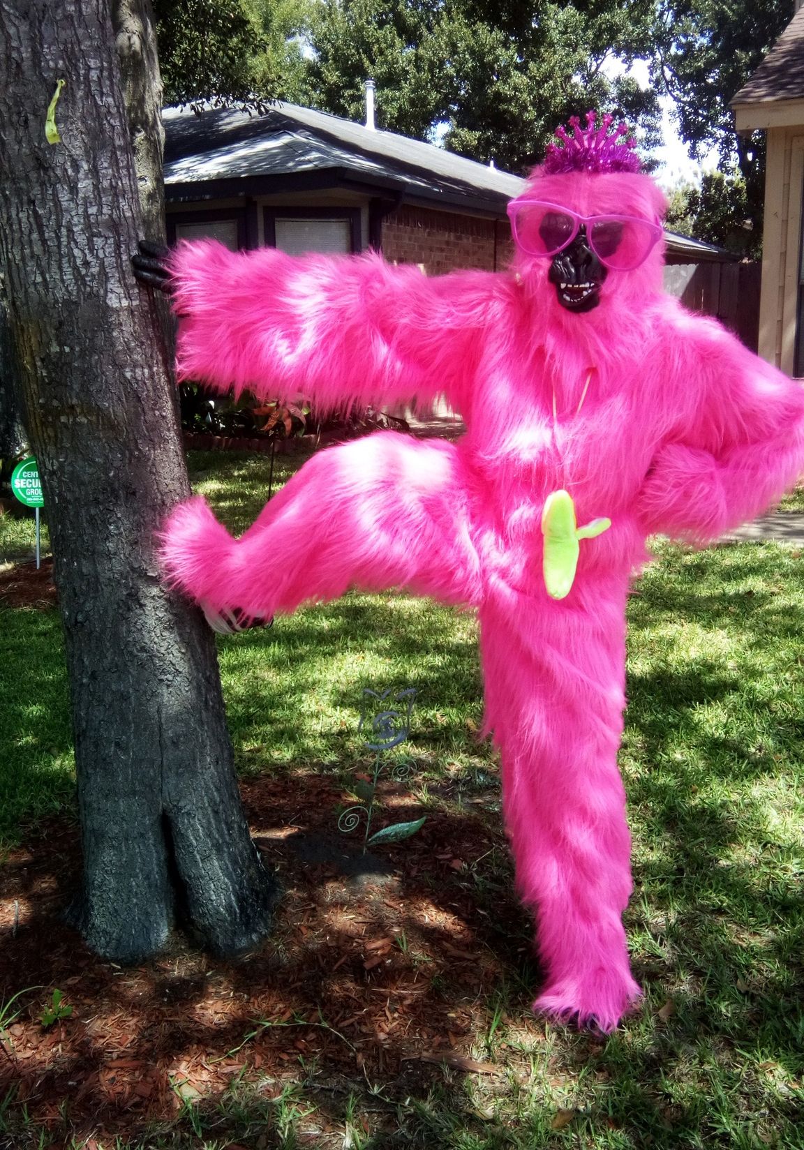 Singing Telegrams & Costumed Characters | Houston, TX
