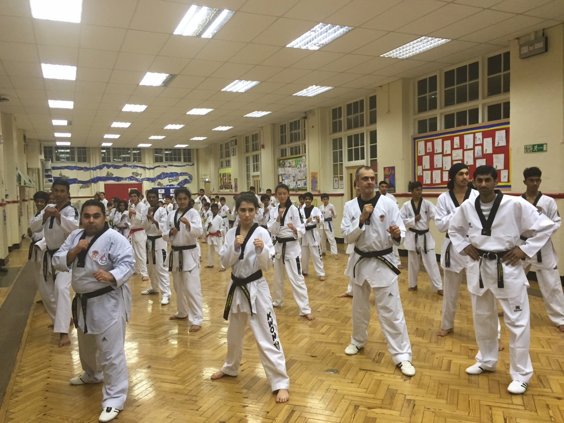 Gallery | Gurumu Taekwondo