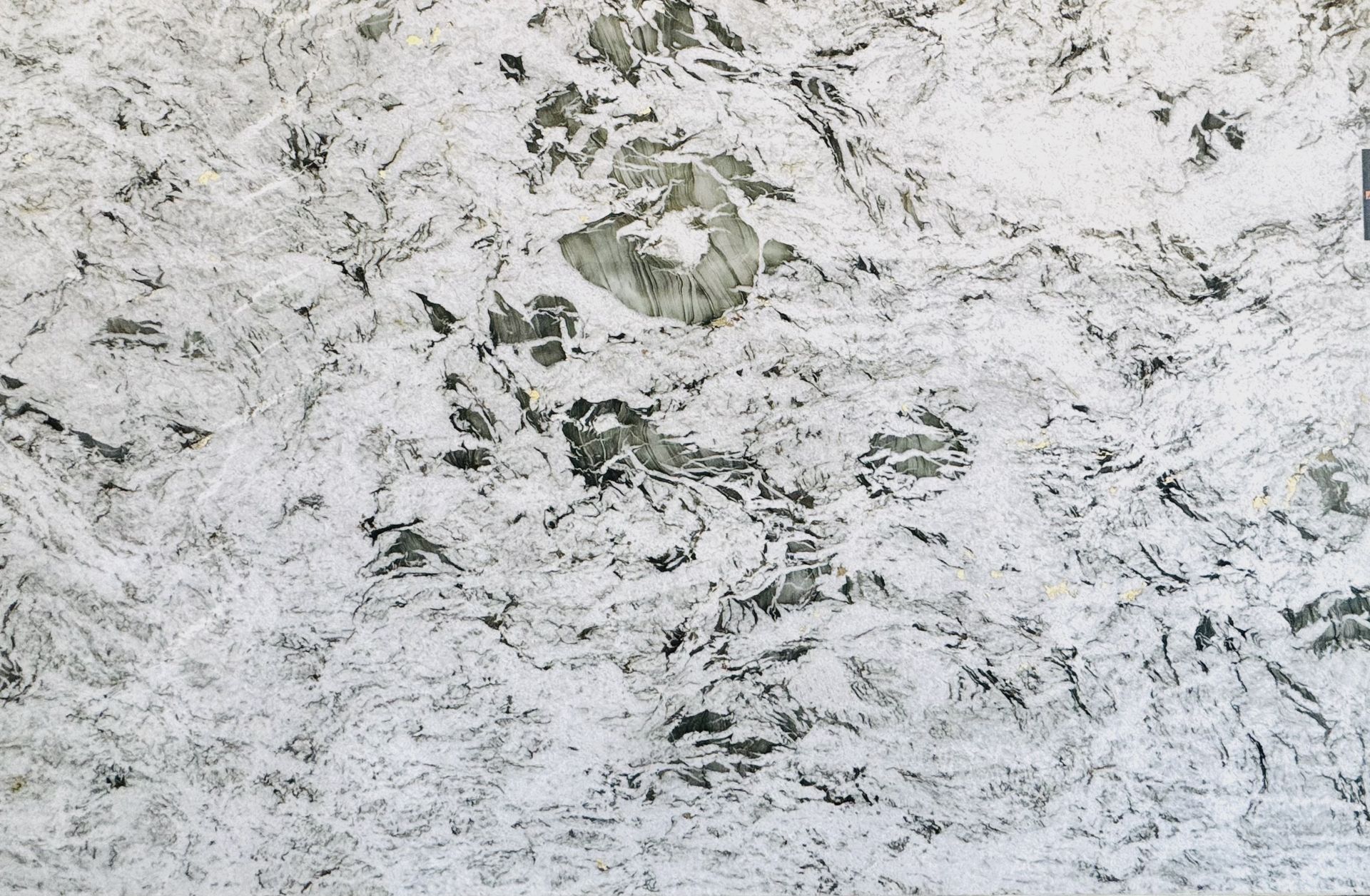 Corian Quartz Calacatta Medallion