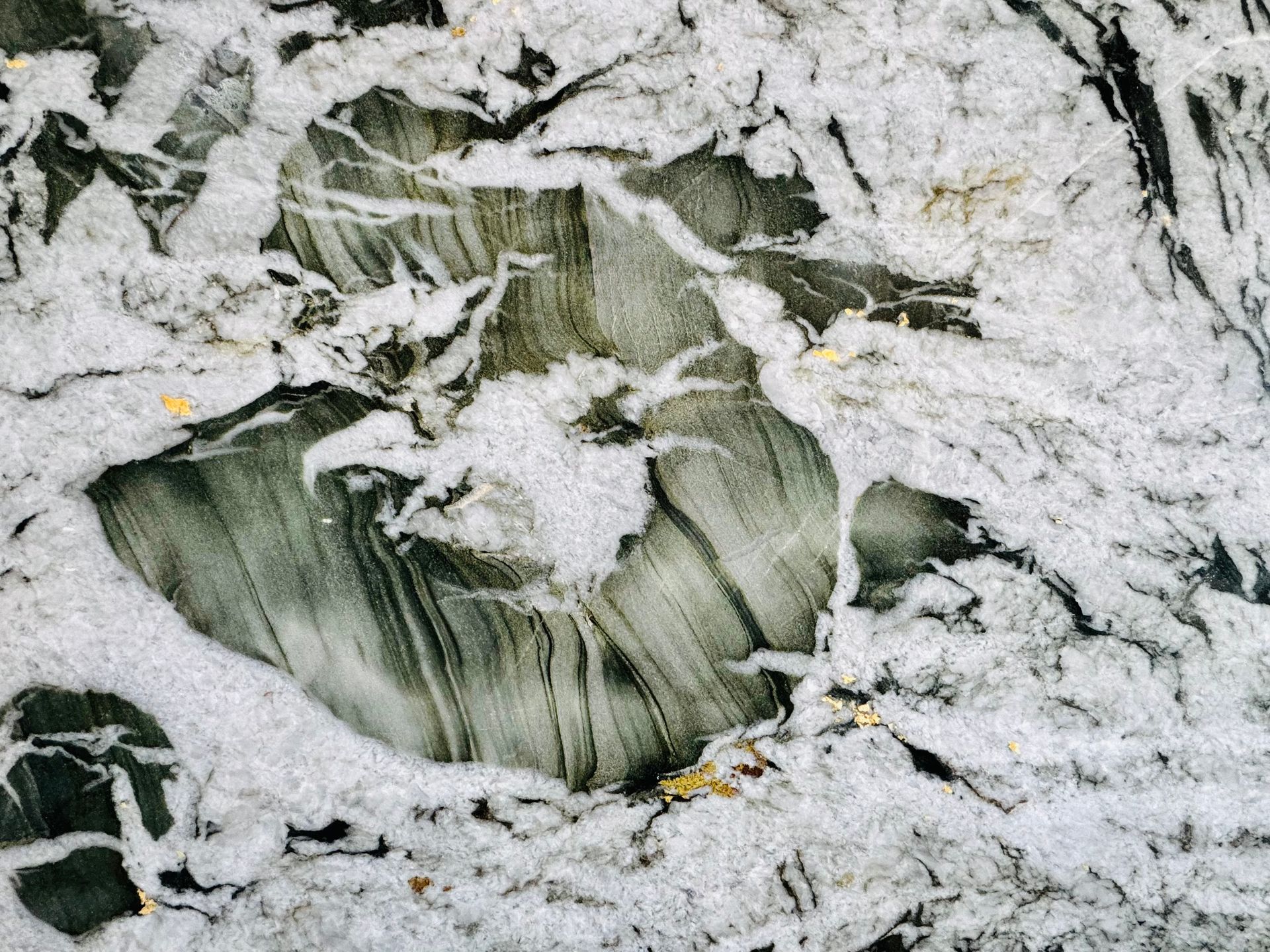 Corian Quartz Calacatta Medallion