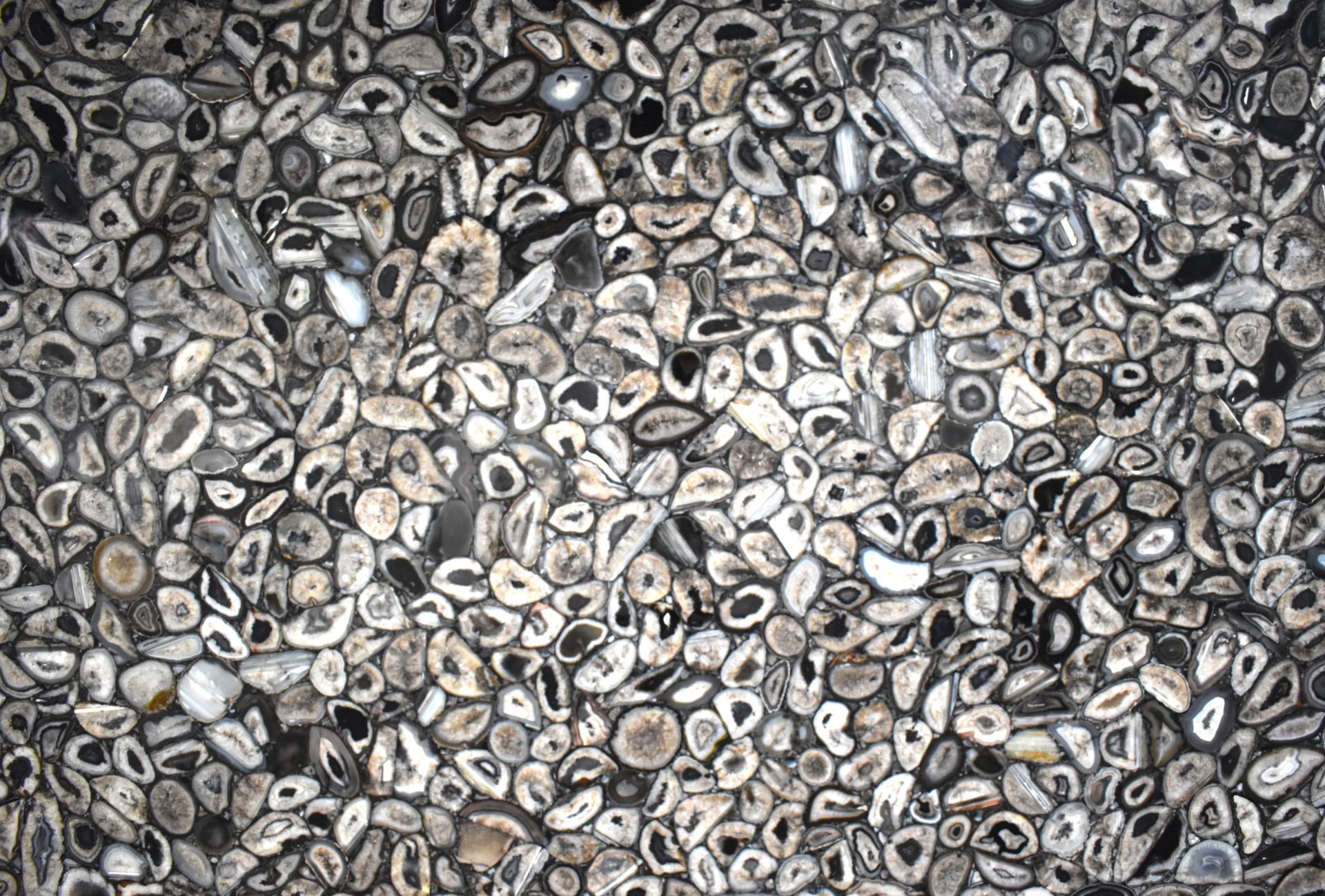 Corian Quartz Calacatta Medallion