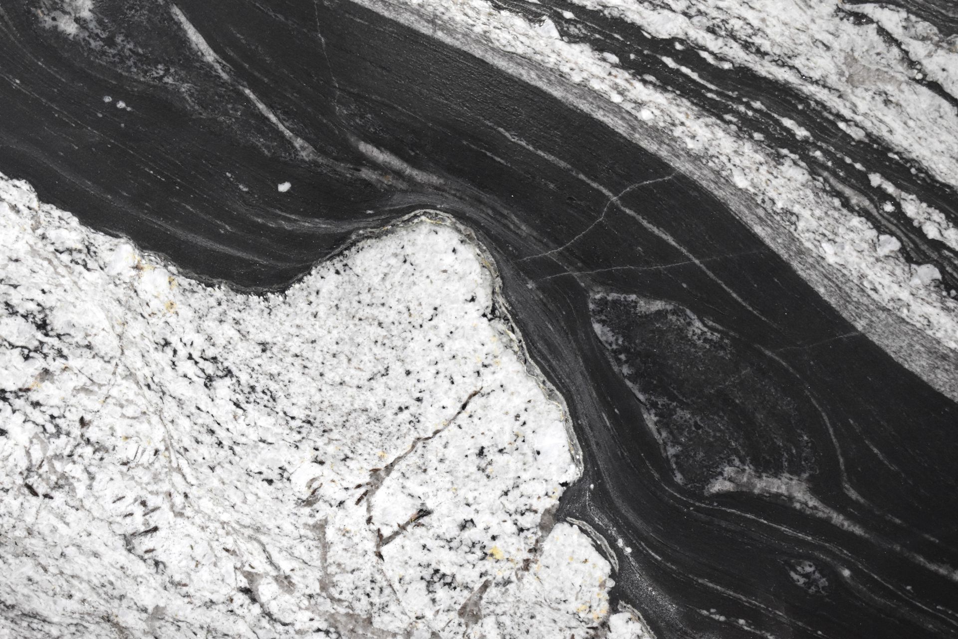 Corian Quartz Calacatta Medallion