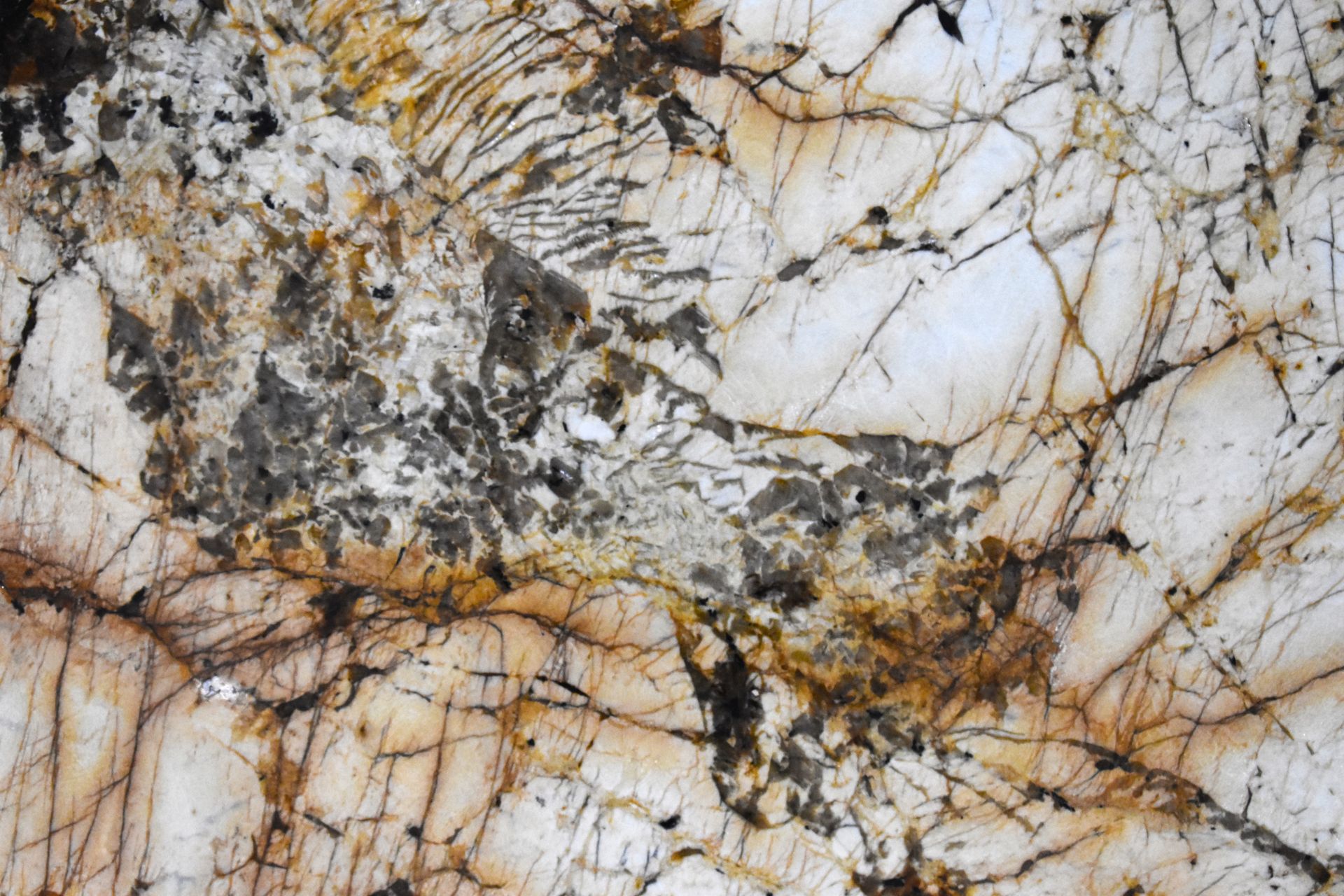 Corian Quartz Calacatta Medallion