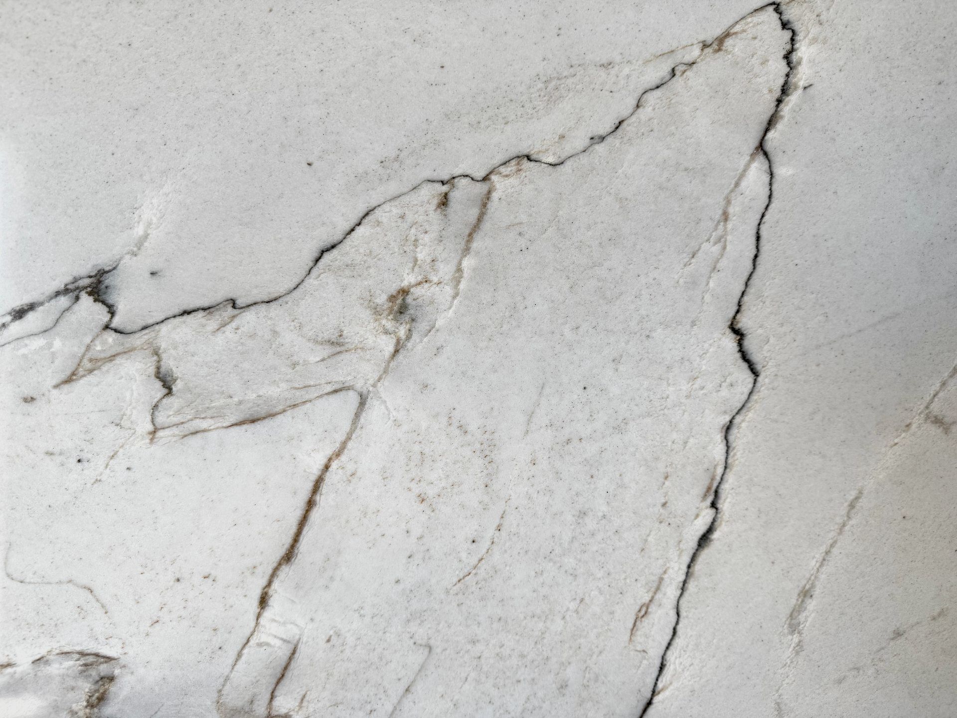 Corian Quartz Calacatta Medallion