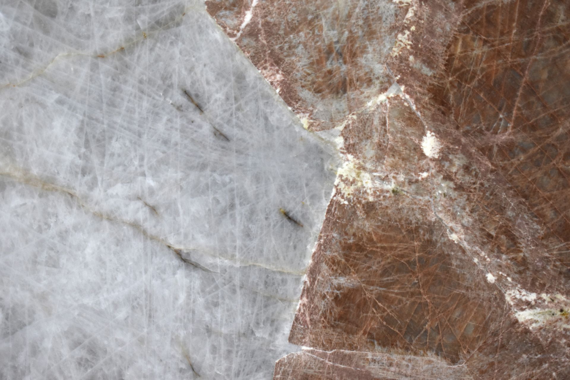 Corian Quartz Calacatta Medallion