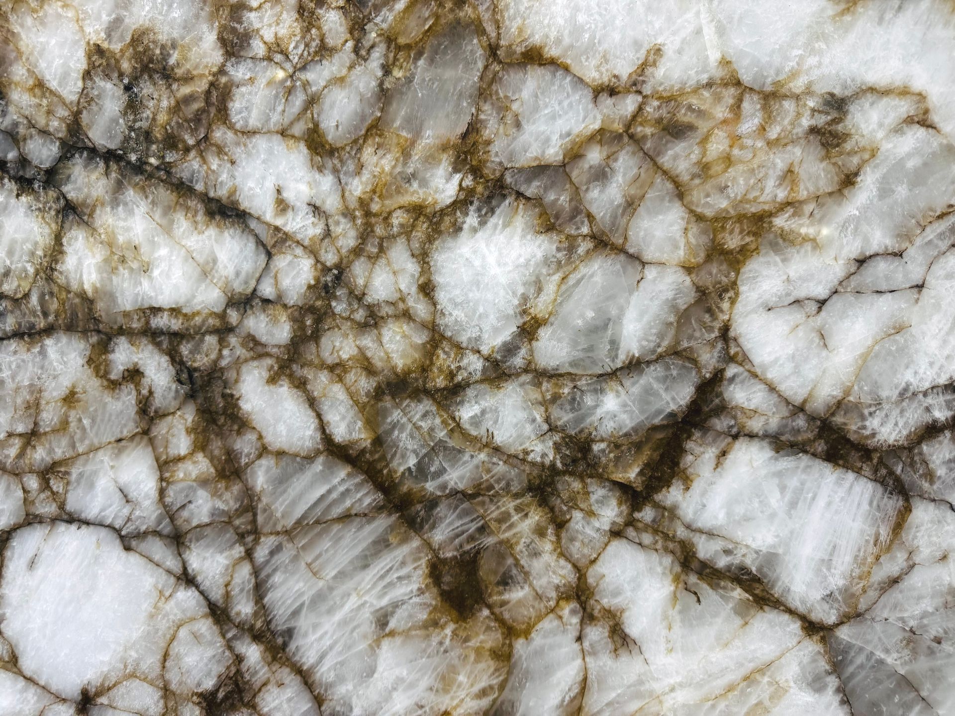 Ocean Fantasy Leather 4570