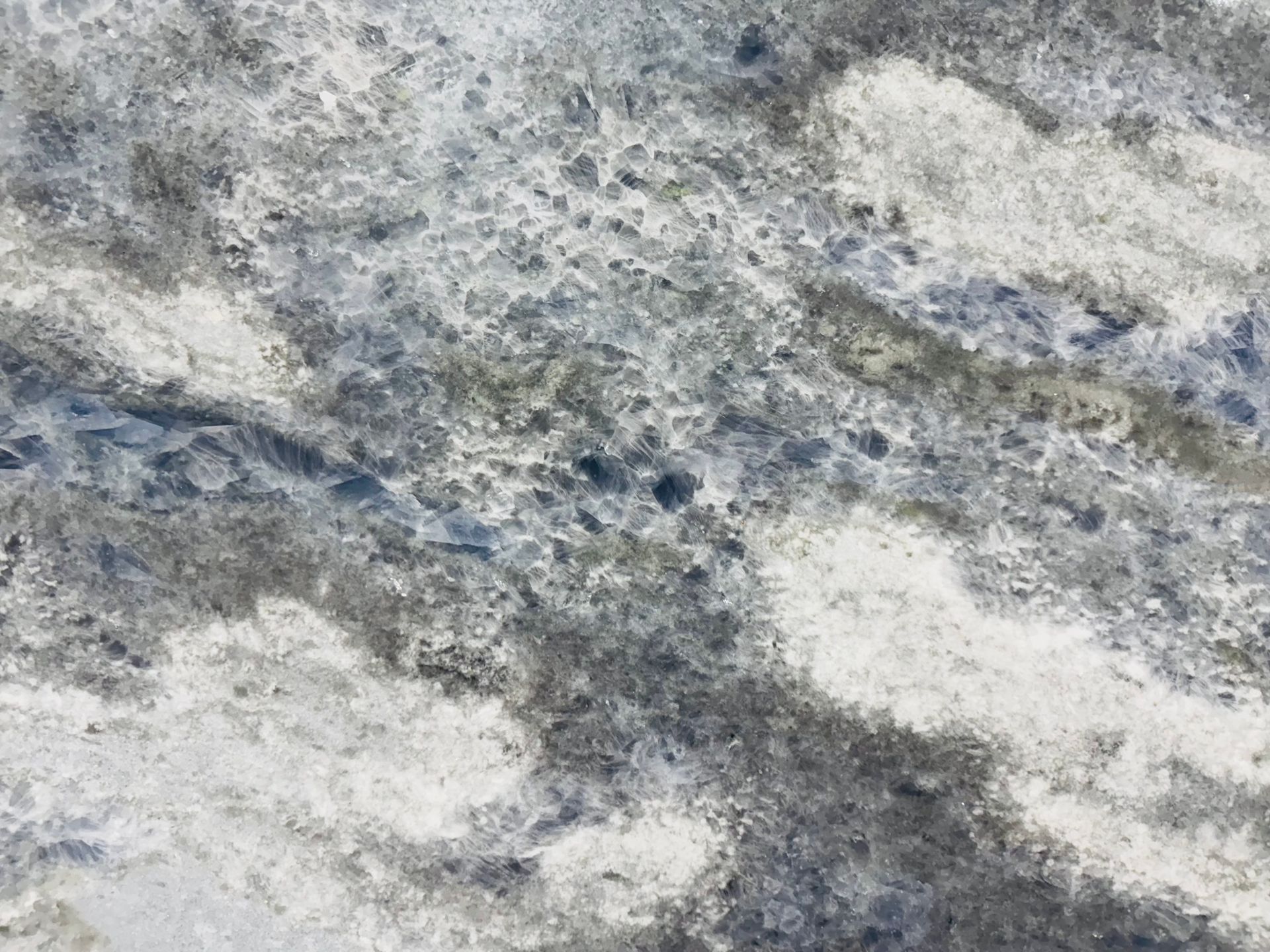 Corian Quartz Calacatta Medallion