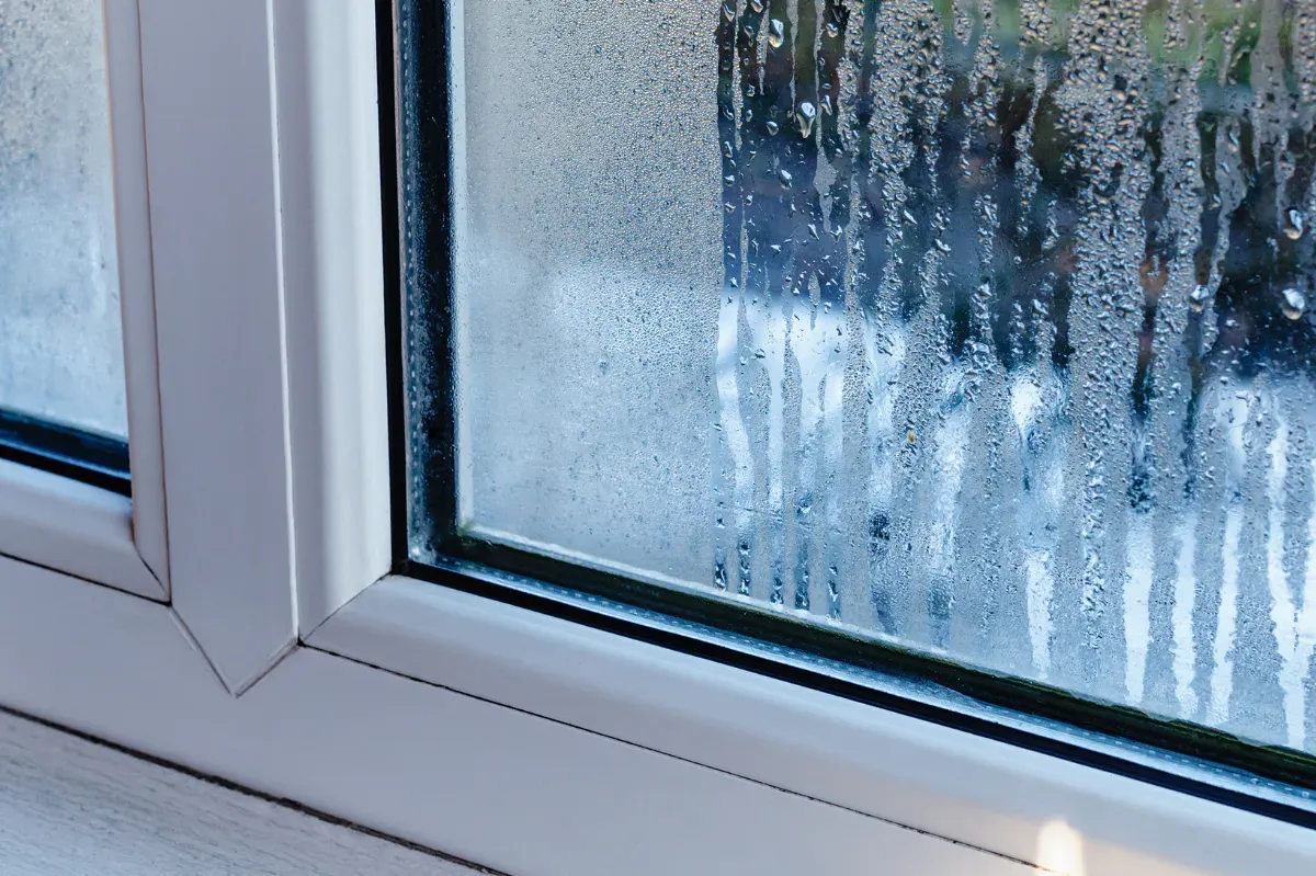 3 Easy Ways to Clean Double Pane Windows (Without Damaging the Seal)