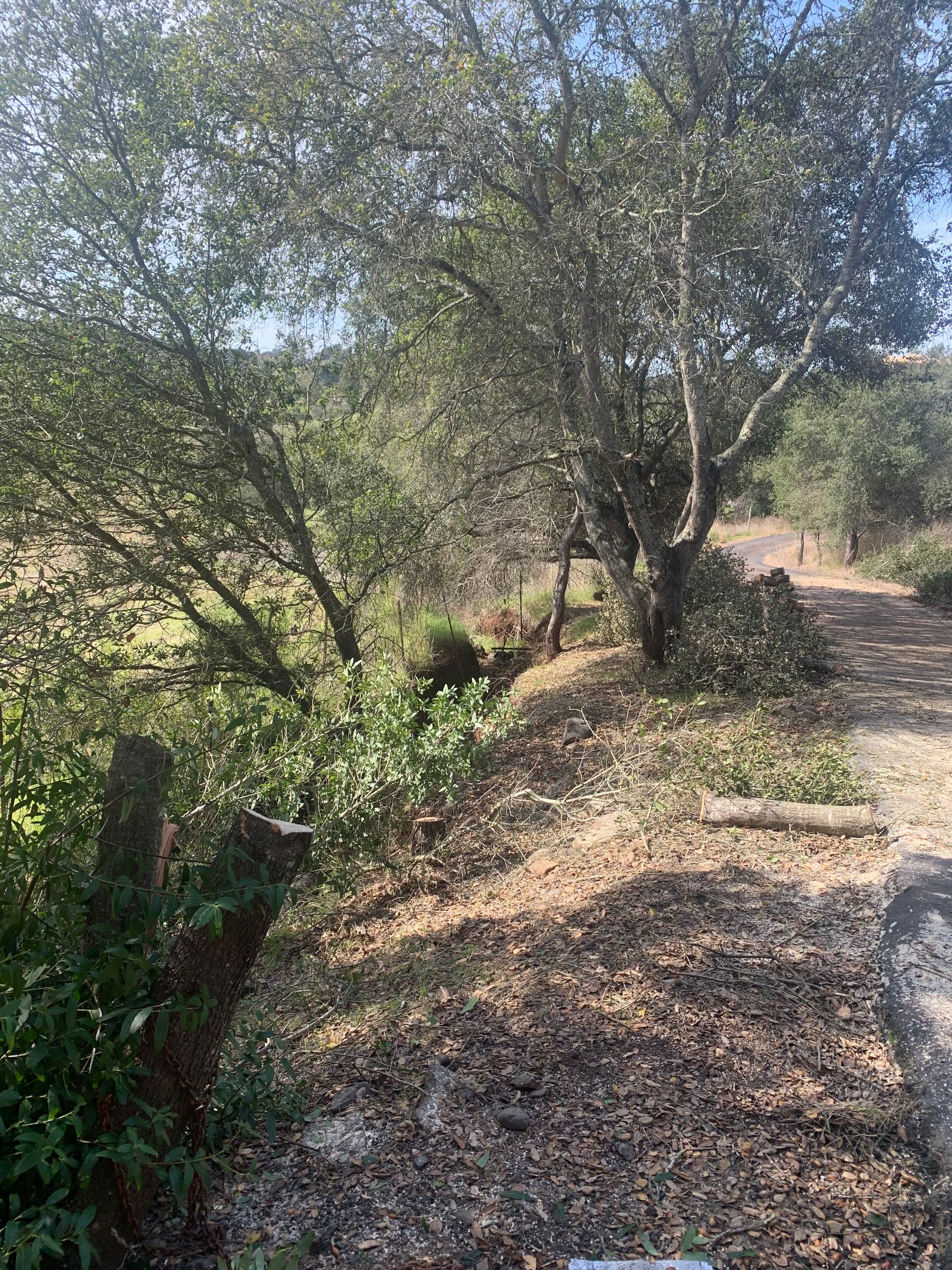 Culvert Repair / Fire Prevention