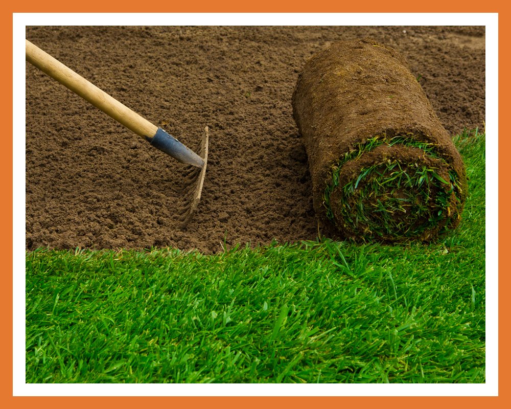Sod Lawn Installation | Complex Landscape Care & Design