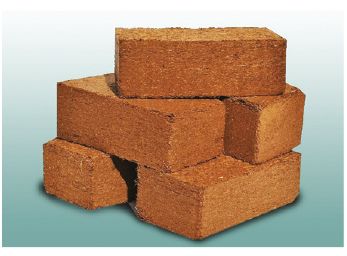 Coco Coir: Sustainable, Organic Growing Medium