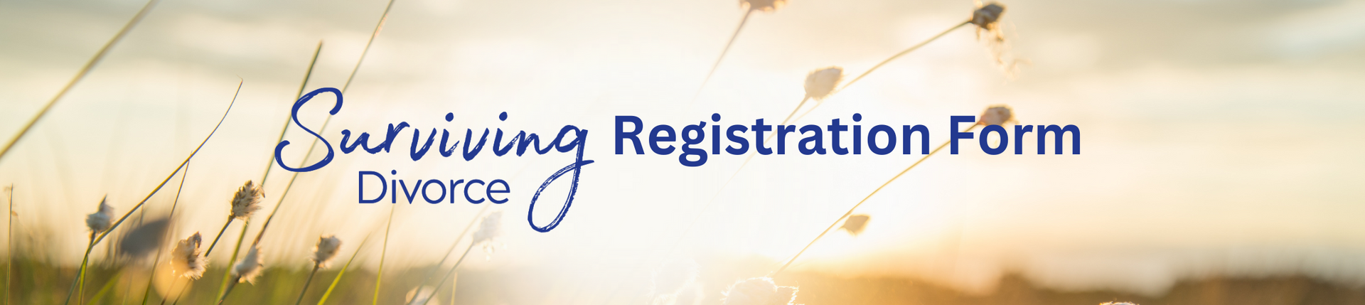 Surviving Divorce Registration