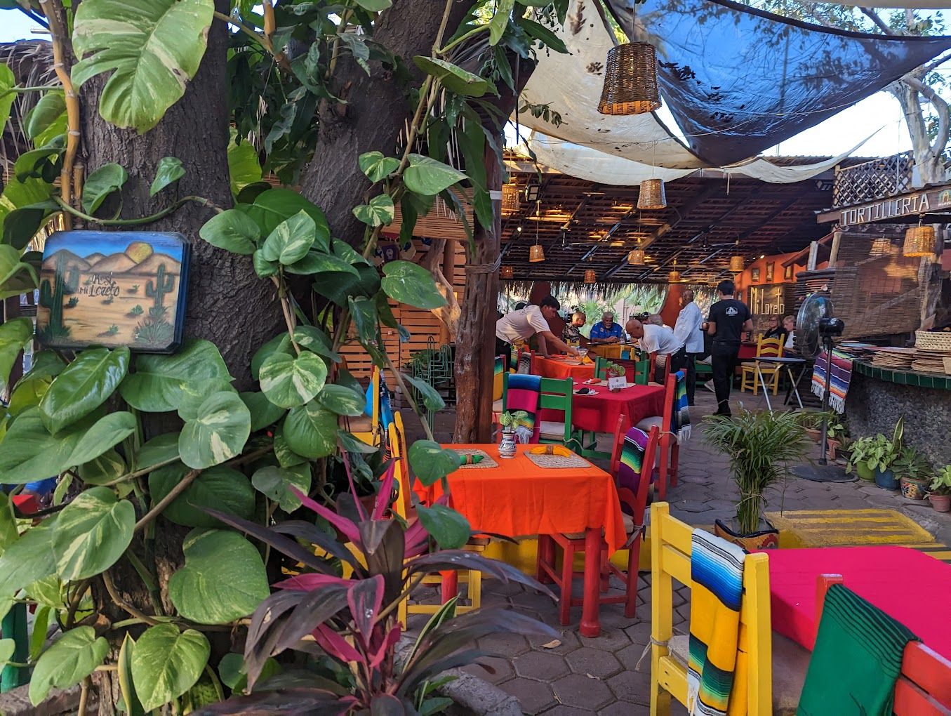 The Cuisine of Loreto: Best Restaurants and Local Dishes to Try