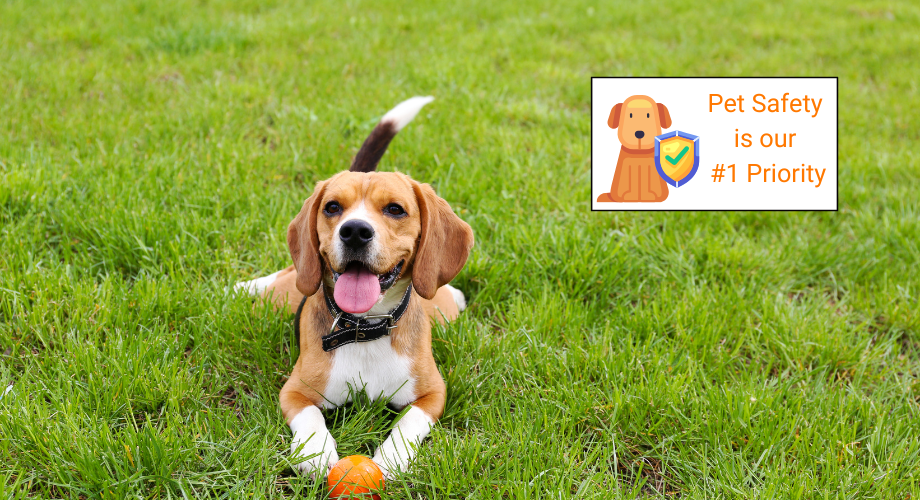 The Ultimate Dog Safety Checklist for a Happy & Secure Pup