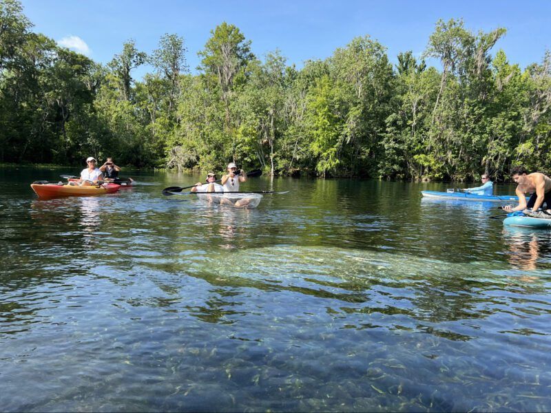 Kayak Tours Gallery | Kayaking Silver Springs Florida