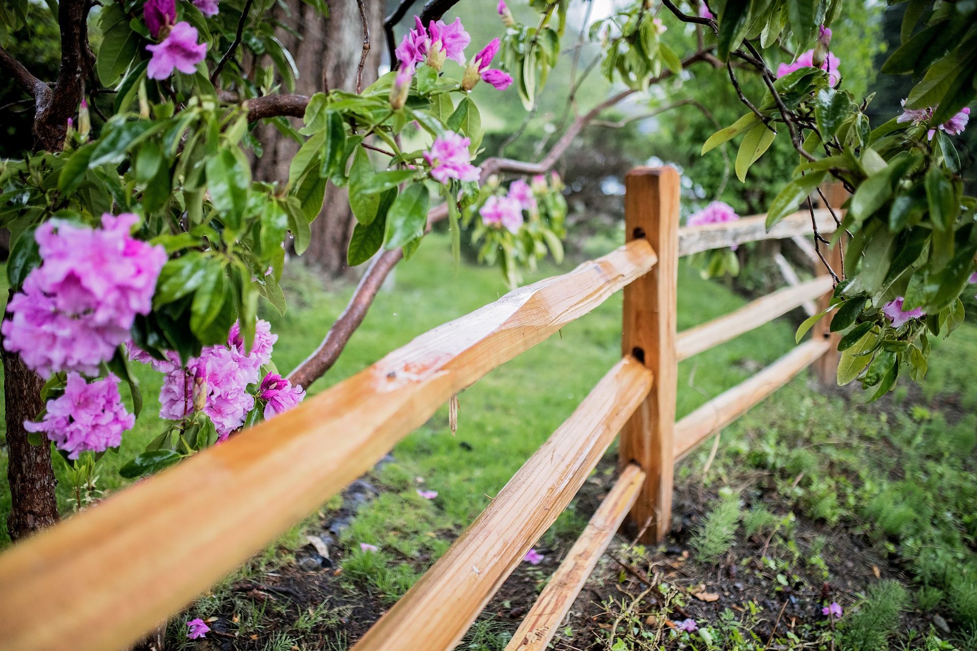 About Our Team - Gig Harbor, WA - Northwest Fencing