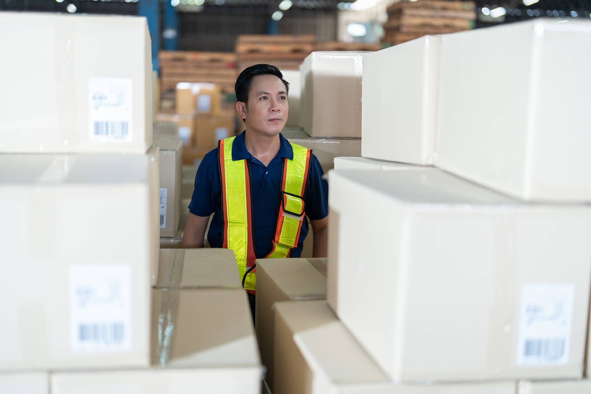 Logística de entrada: qué es, procesos y consejos