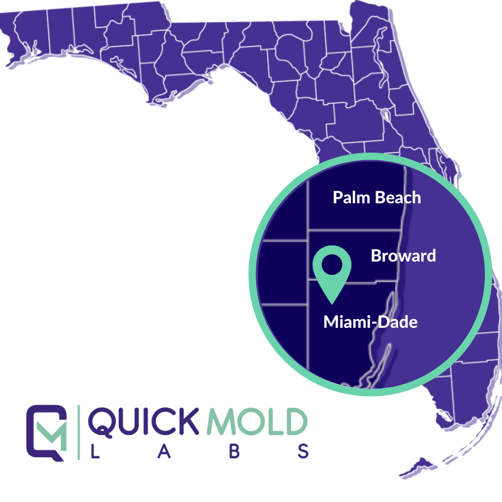About Us | Quick Mold Labs