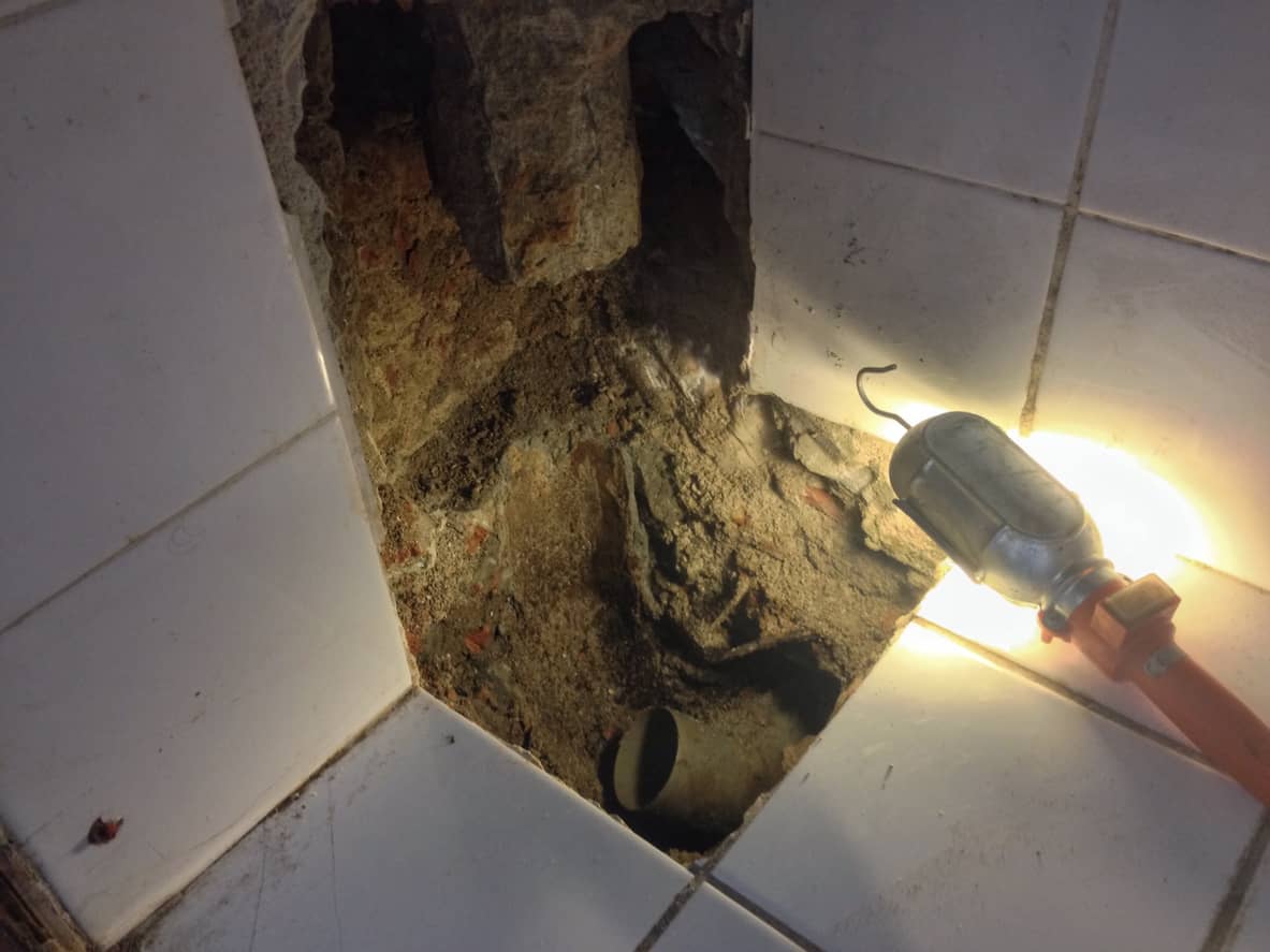 Doral Mold Inspection | Quick Mold Labs