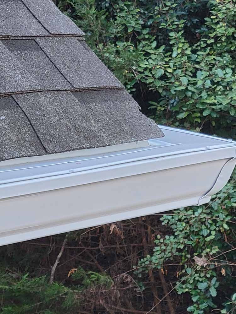 Champion Gutter Guards | Total Gutter Solutions