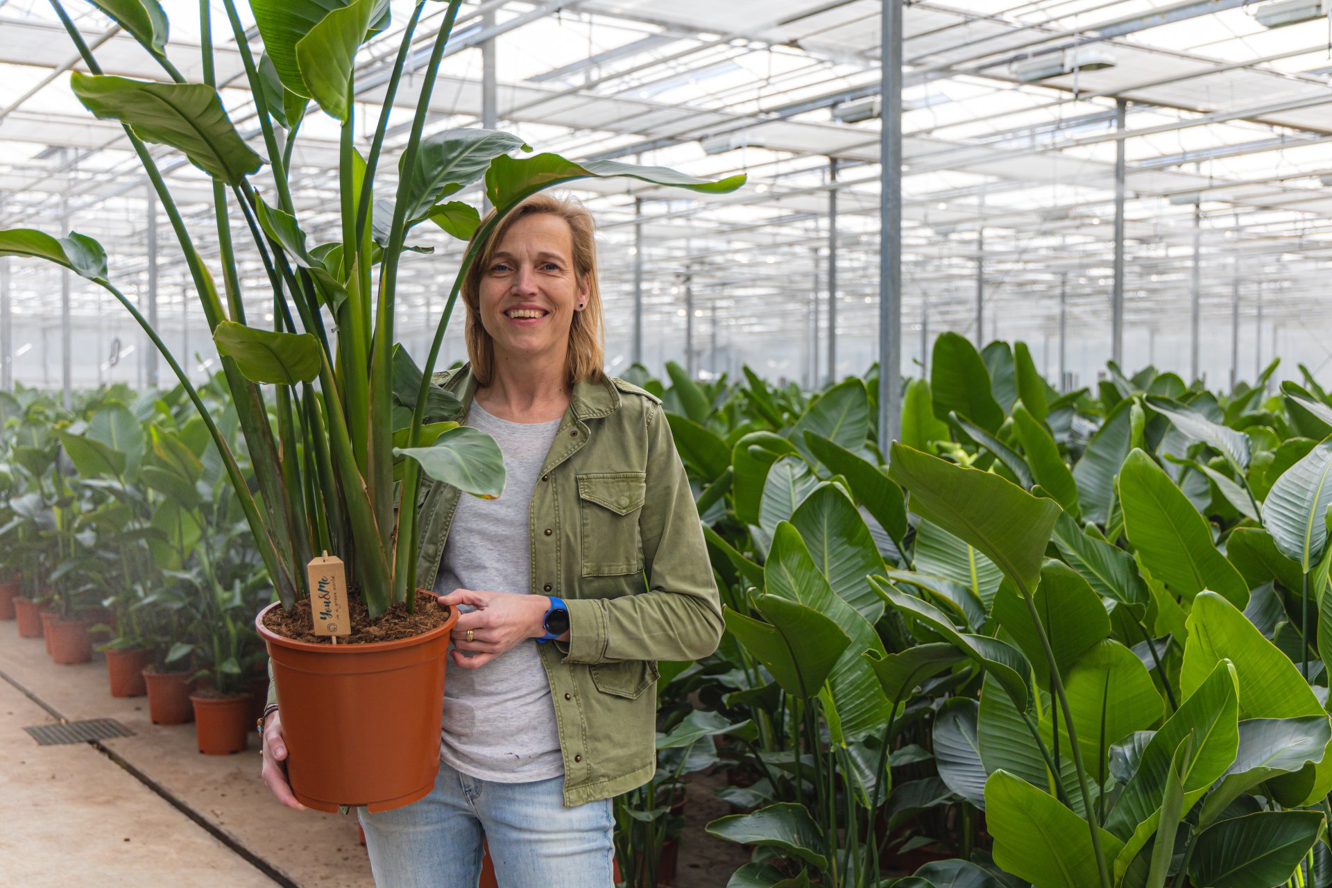 JBB packaging - verpakkingen