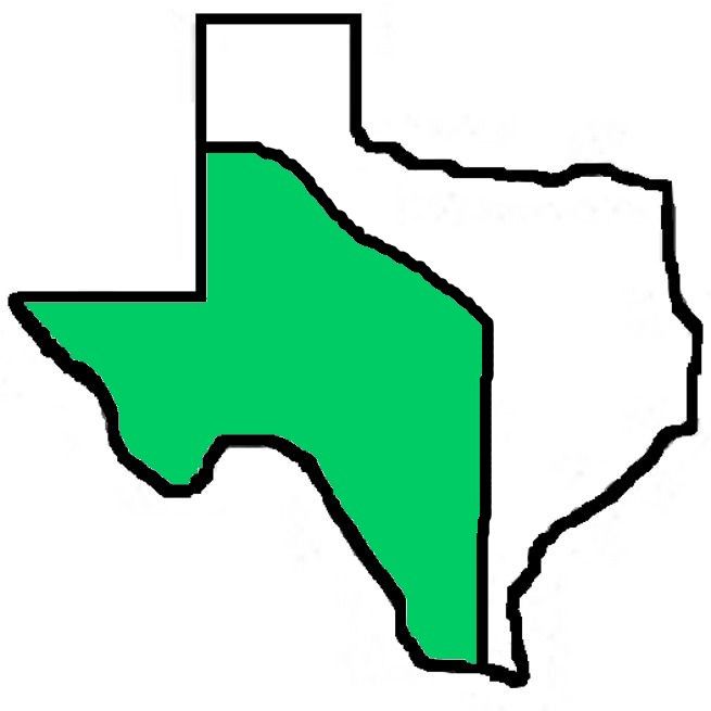 Moth Species | Birders on the Road | Alamo, TX