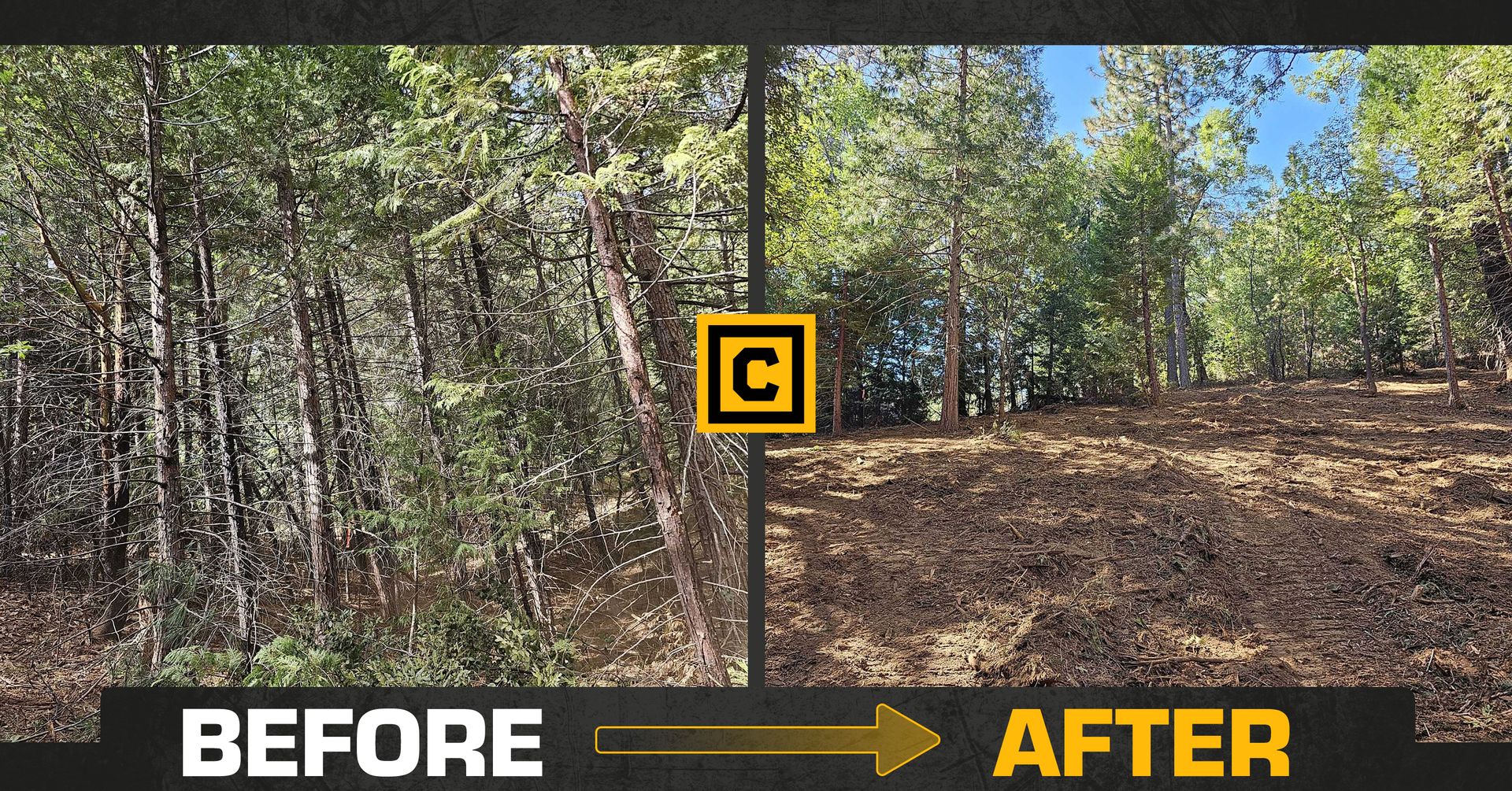 Campbell Forest – CA Defensible Space & Forest Mastication