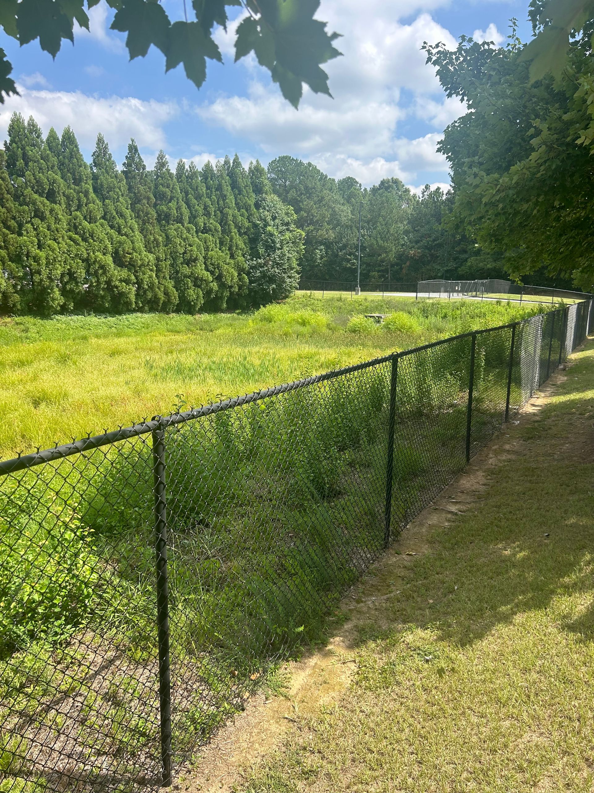 Canton, GA Tree Services | Atlanta Tree Company