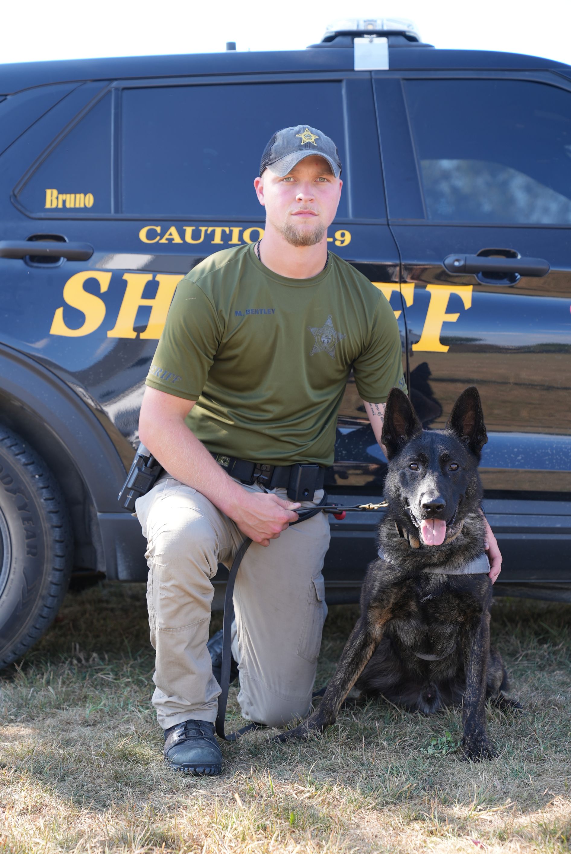 Available Elite Working Dogs: Premier Selection of K9s & Protection Canines