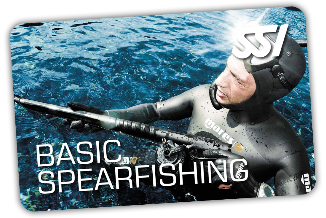 Egesub Freediving - SSI Spearfishing Basic