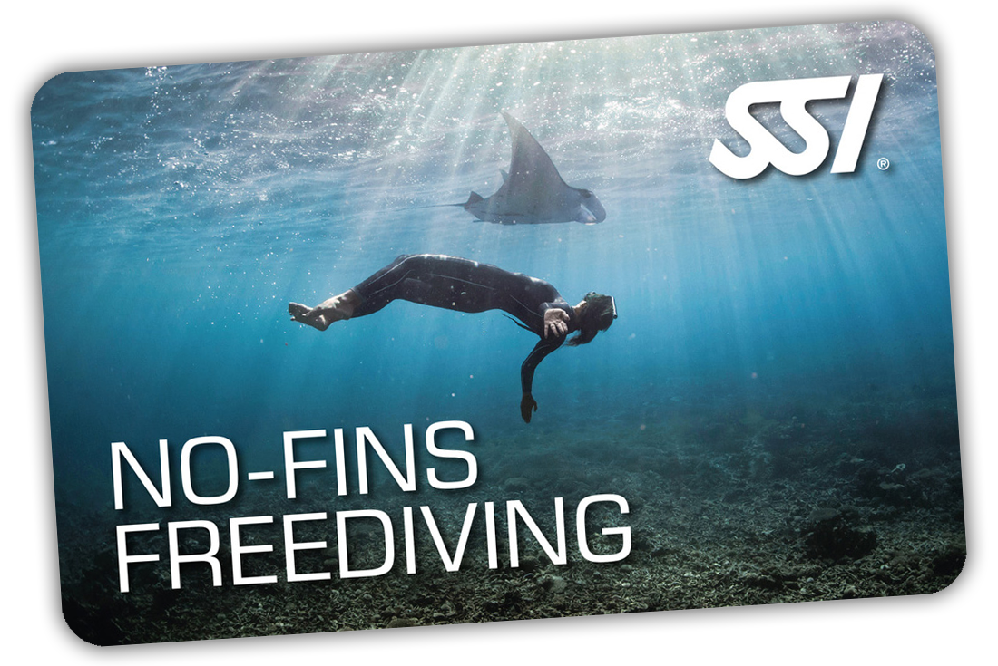 Egesub Freediving - SSI Freediving Programı