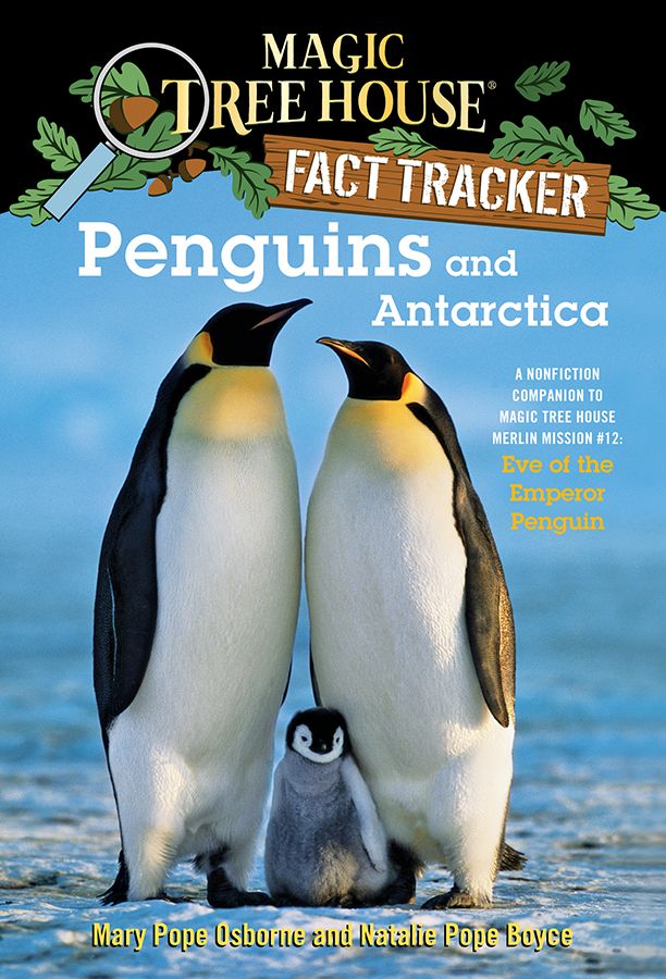 Eve of the Emperor Penguin