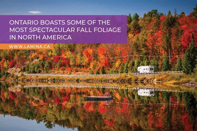 Must-See Autumn Events in Ontario (and How to Stretch Your Budget Like ...