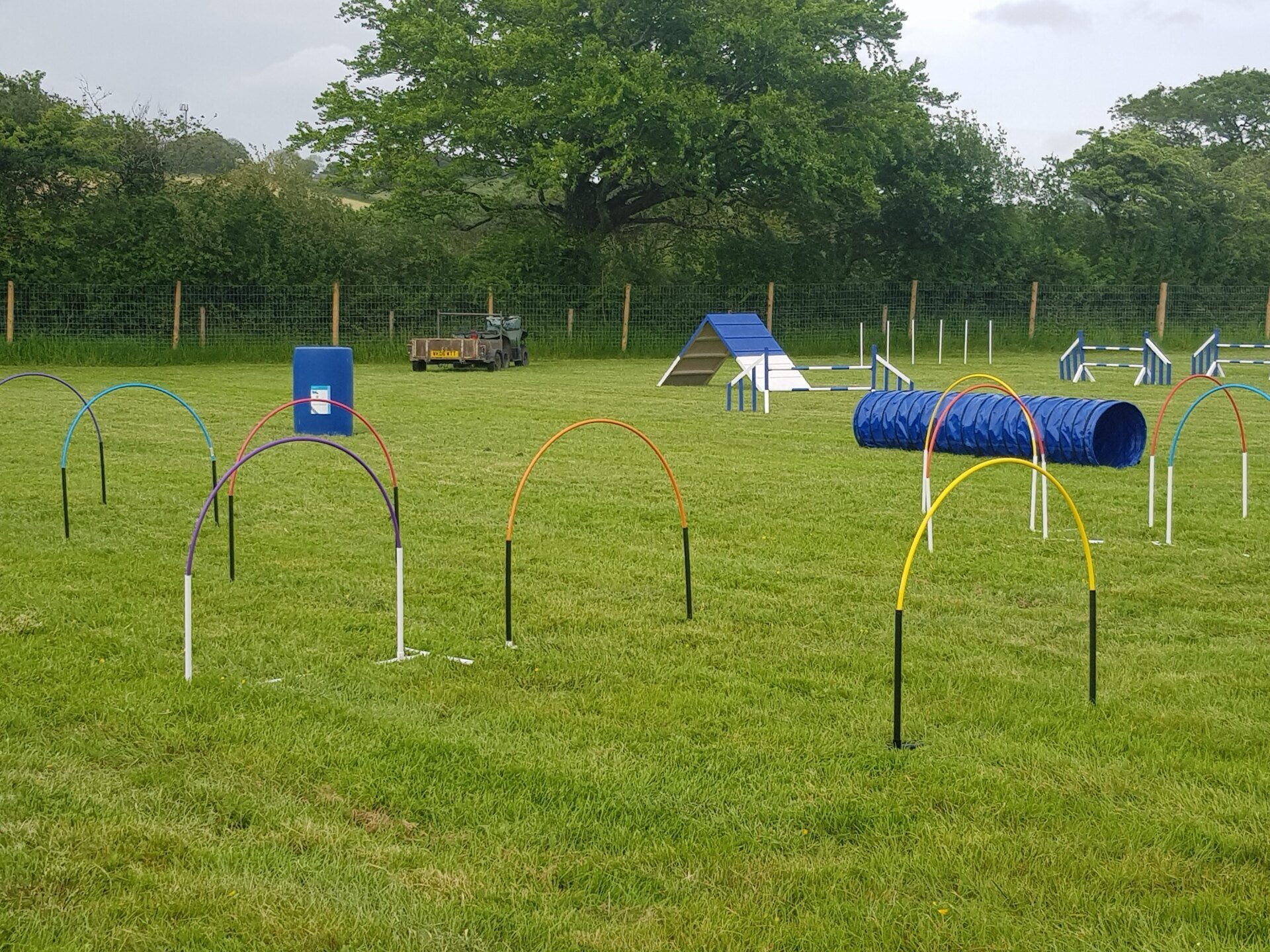 Woodlands Farm Dog Fields