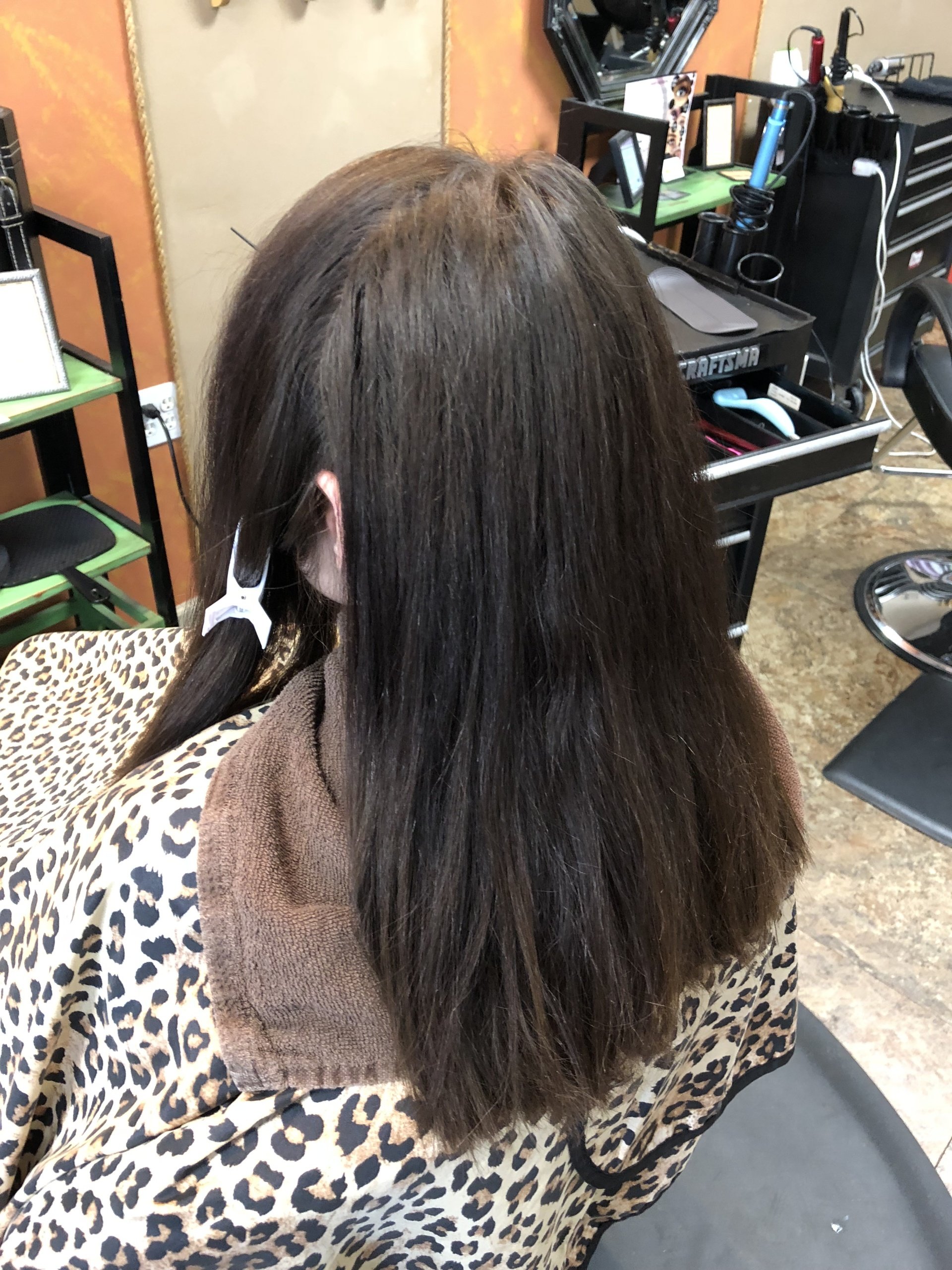 Hair Safari | Photo Gallery | Before & After