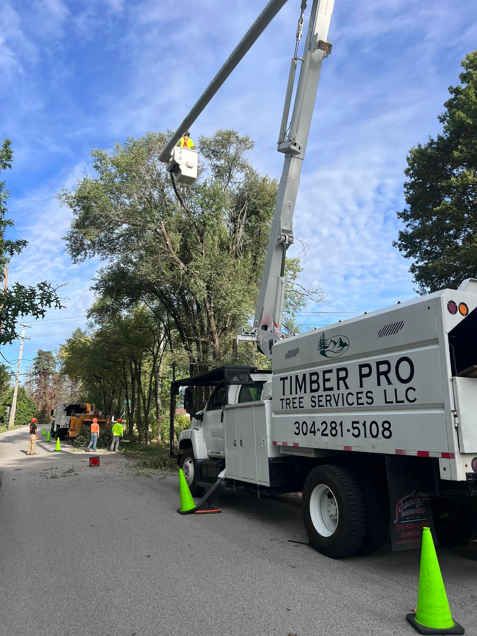 Top Tree Services in Ohio Valley | Timber Pro