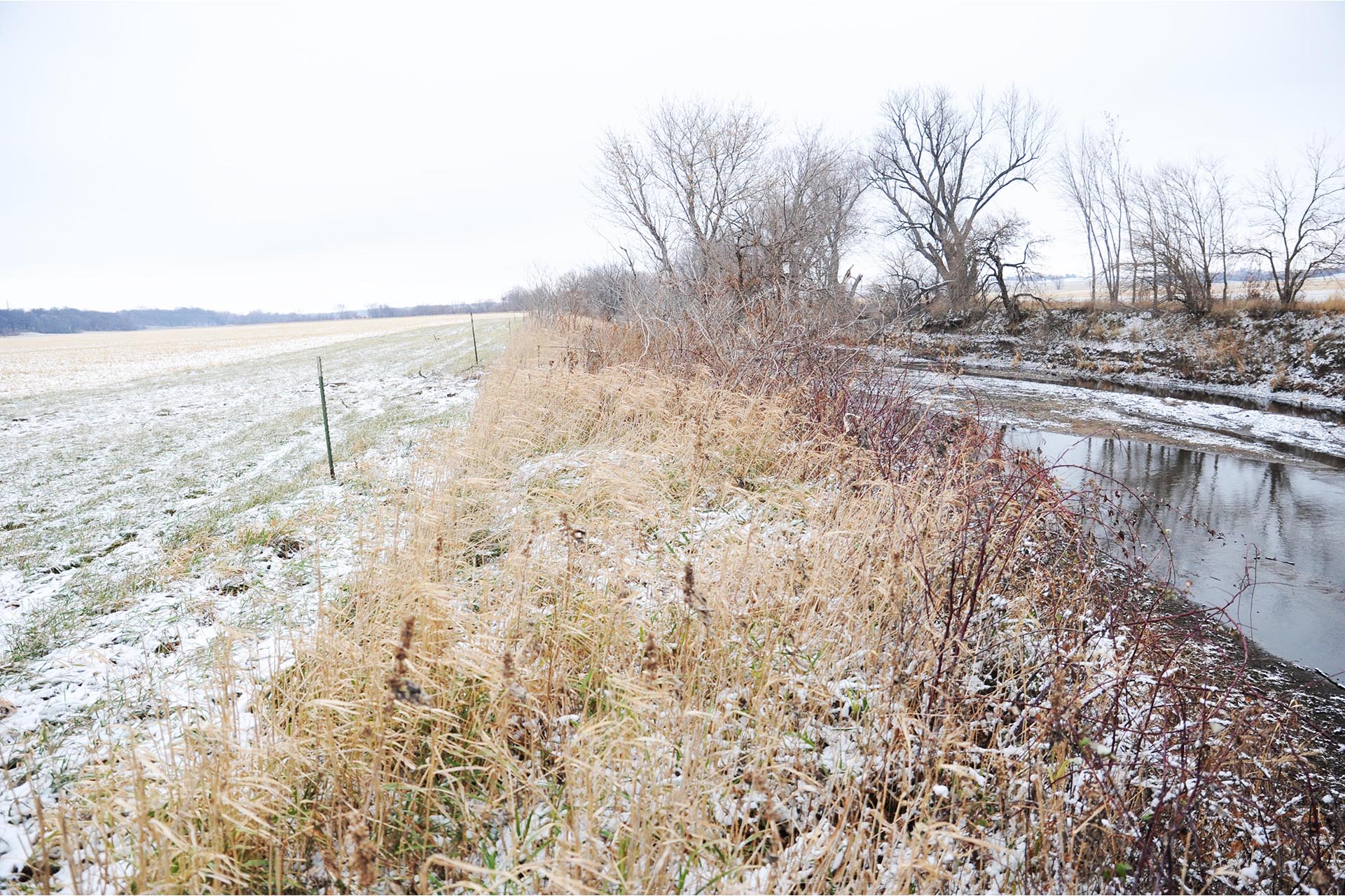 Conservation Agronomy