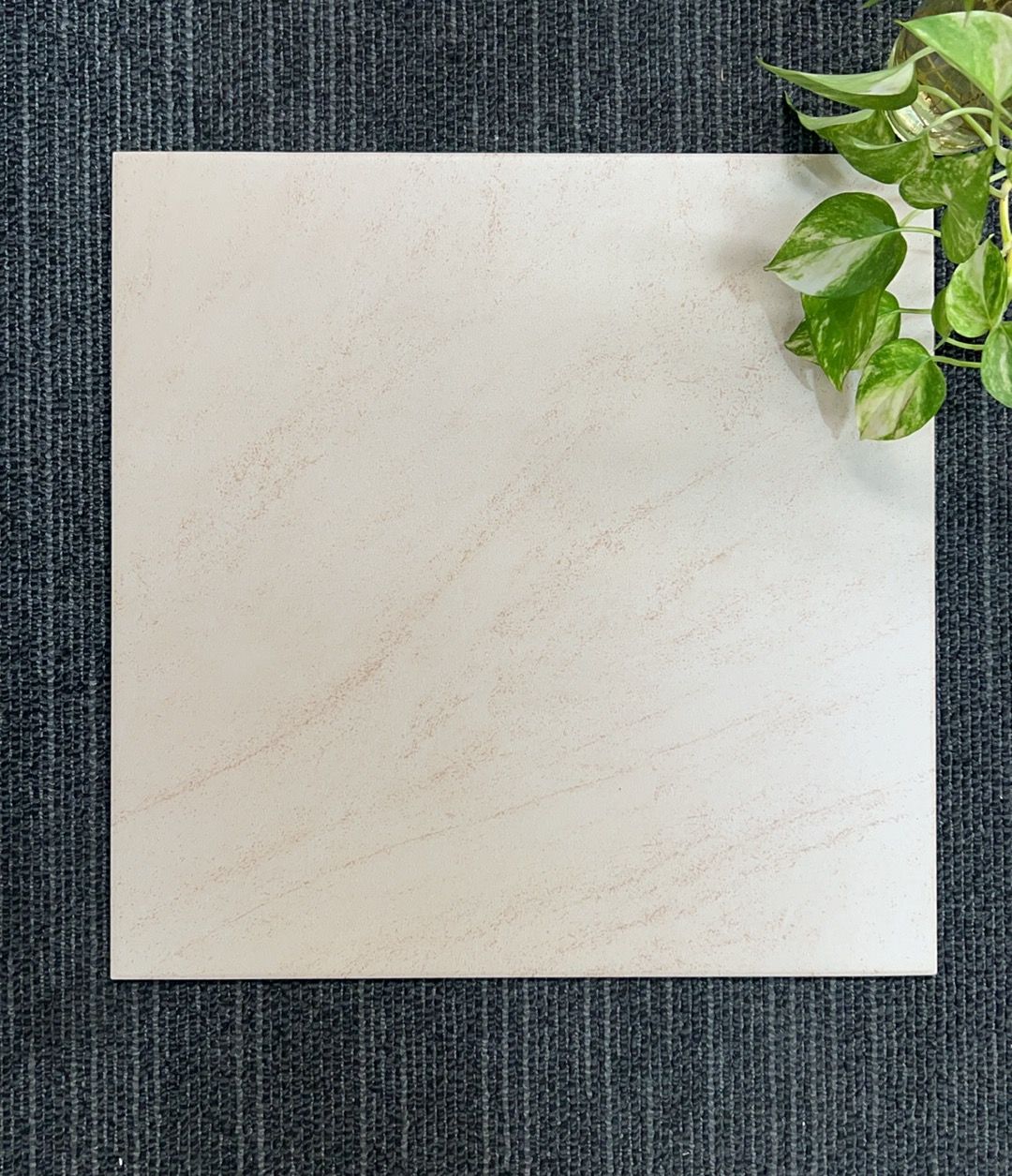 Exclusive Tile Specials on the Gold Coast