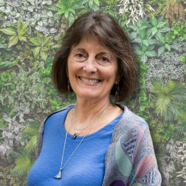 Staff & Program Partners