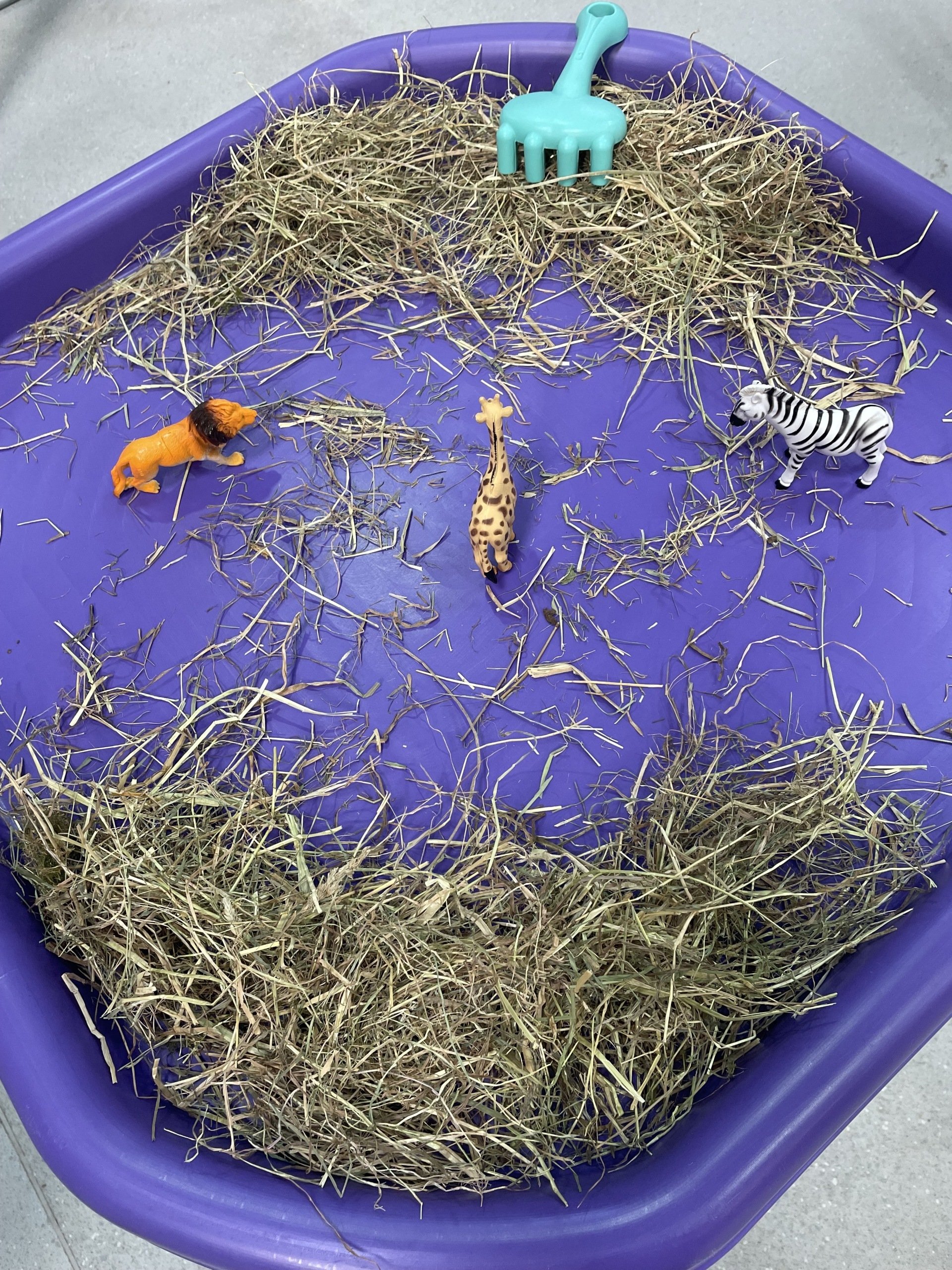 Family Day Out | Mad Play Ltd | Greenhithe, Near Dartford