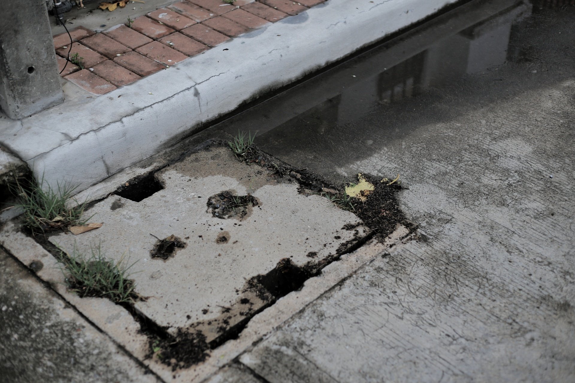 Catch Basin Cleaning Seattle WA