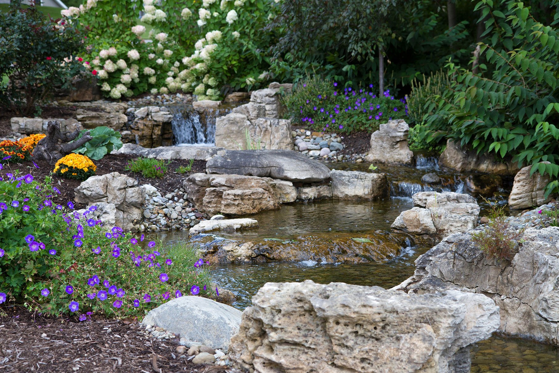 Water Feature Inspiration