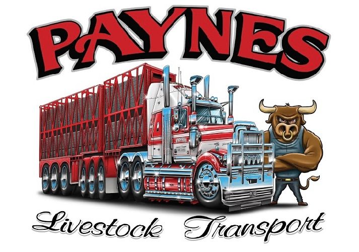 HOME [www.paynestransport.com.au]