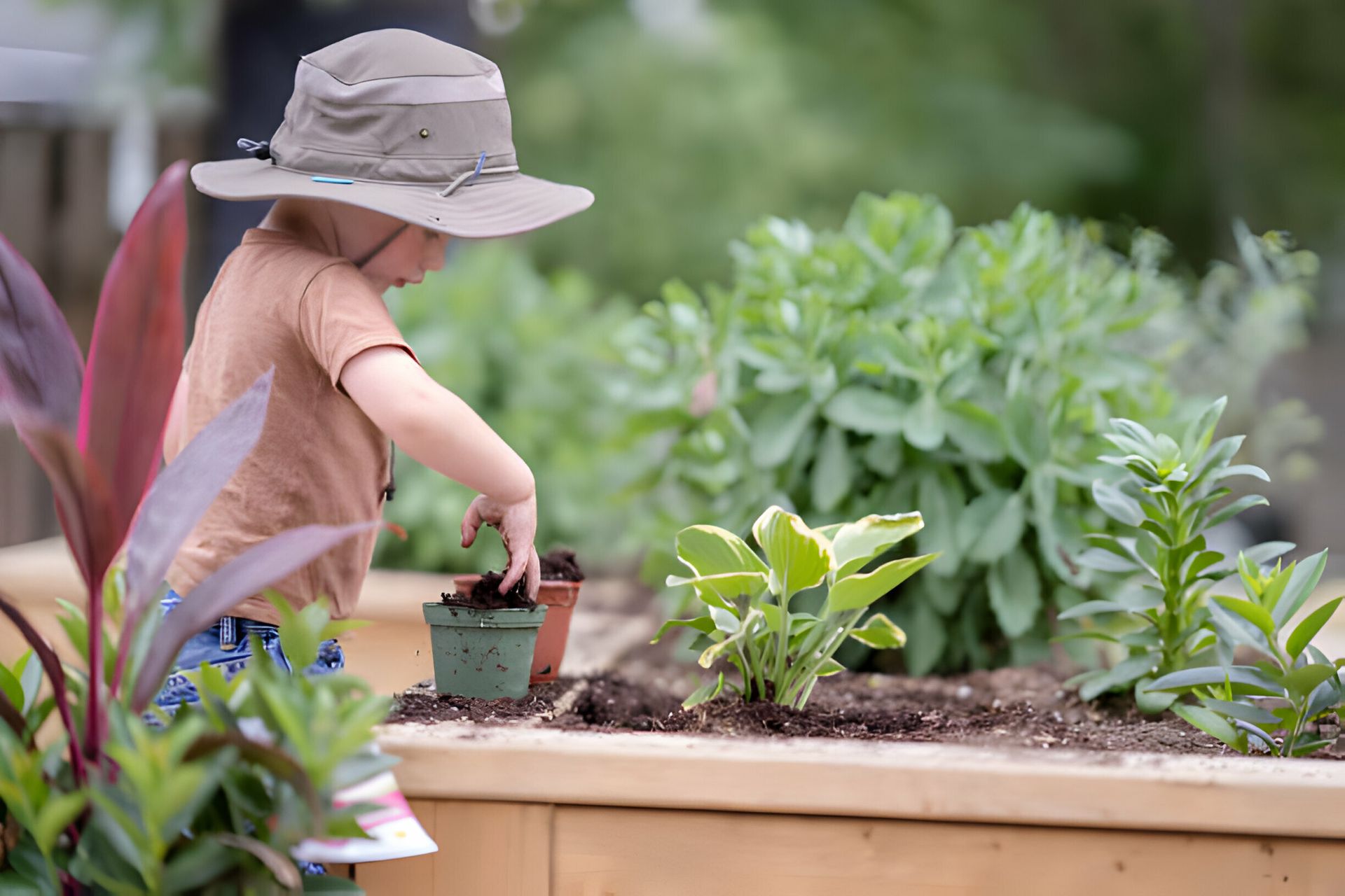 Impact of Childcare Gardening on Growth and Skill Development