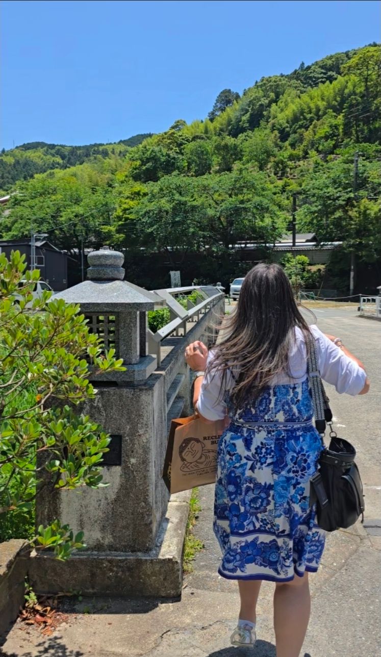 Japan Adventure Day 10: The Magical Xylophone Bridge in Fukuoka!
