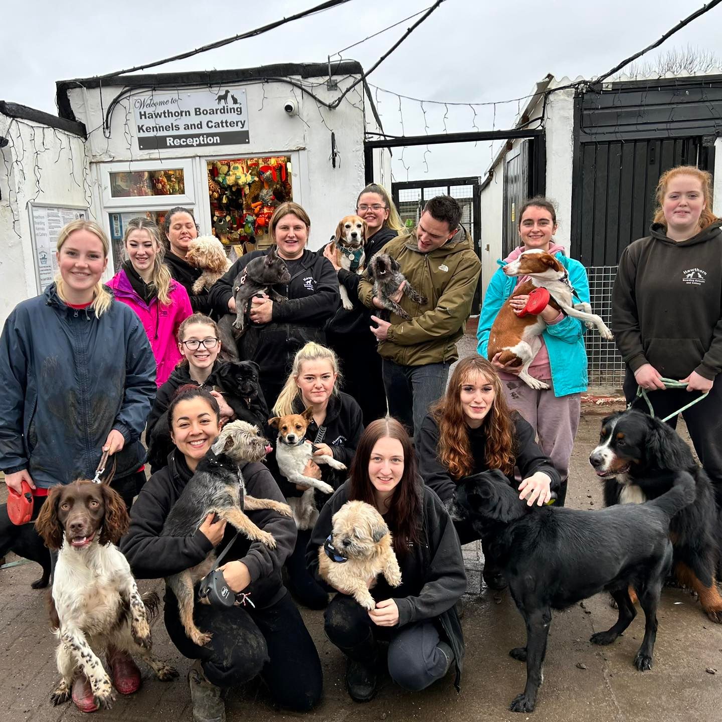 Hawthorn Boarding Kennels and Cattery About Us - Newcastle 01912363309