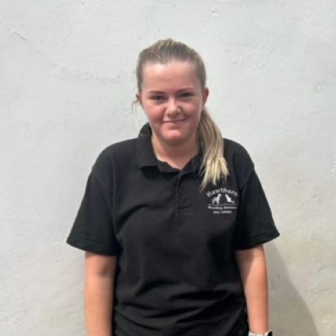 Hawthorn Boarding Kennels and Cattery About Us - Newcastle 01912363309