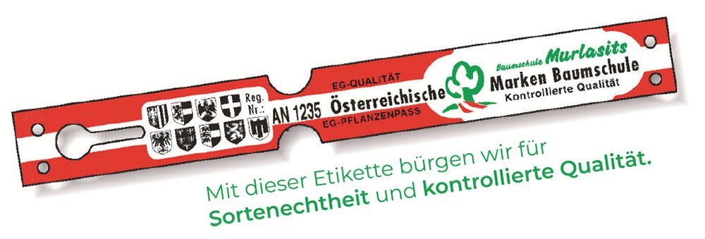 Baumschule Murlasits in Bruck an der Leitha