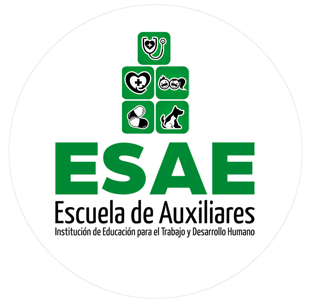 ESAE ⭐ Escuela de Auxiliares