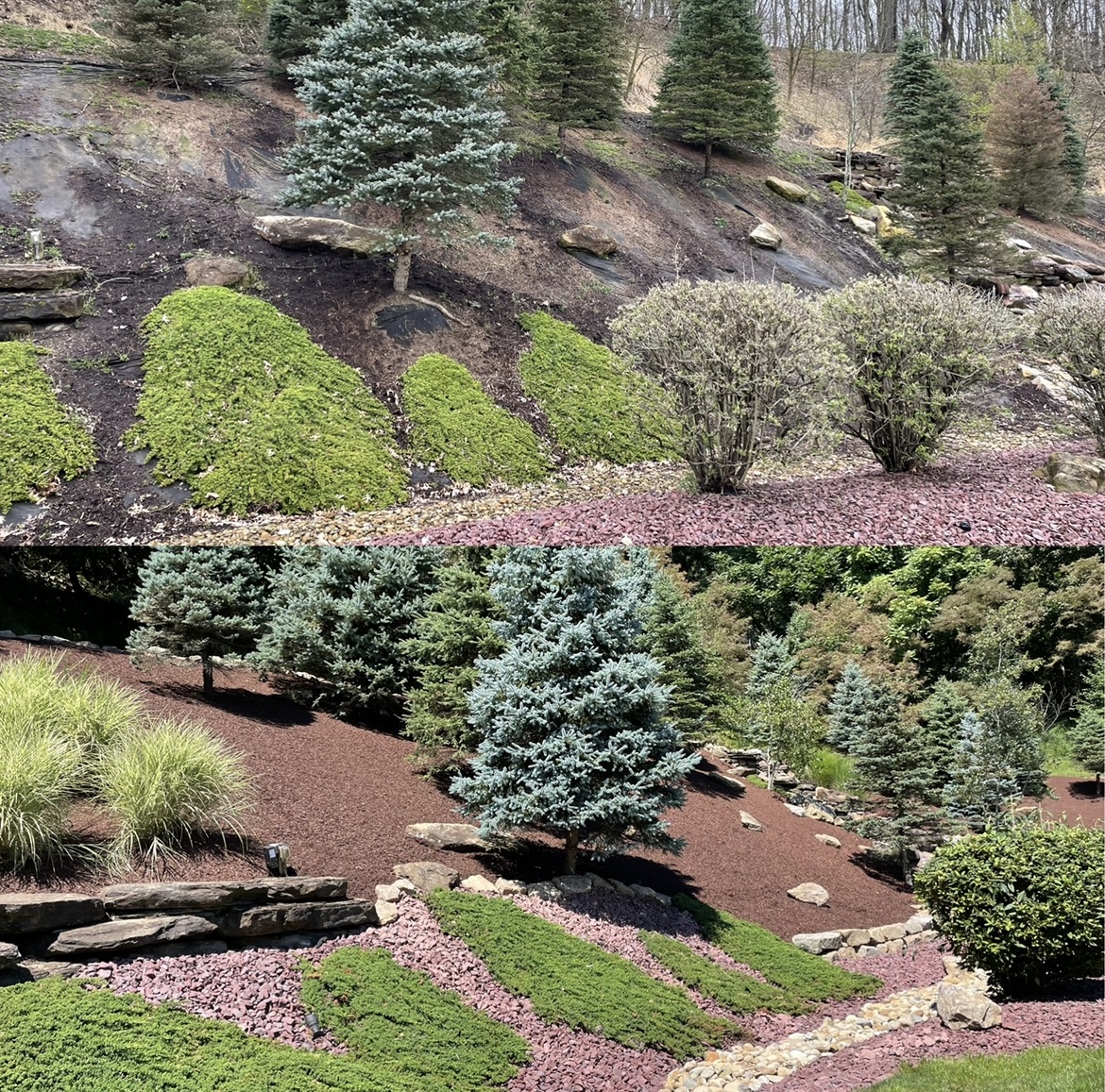 Landscaping Gallery - Irwin, PA - Grandview Nurseries Inc.